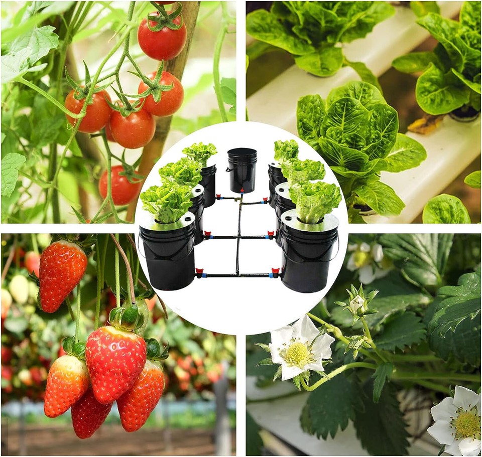 Hydroponics Grow System Kit 7 Buckets 5 Gallon Recirculating Deep Water ...