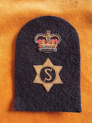 British Royal Navy Steward Army badge Patch | eBay