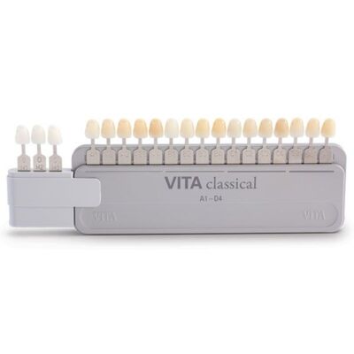 VITA Classical Shade Guide with Bleached Shades Clip | eBay