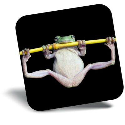 Awesome Fridge Magnet - Funny Dumpy Tree Frog Acrobat #45097 | eBay UK