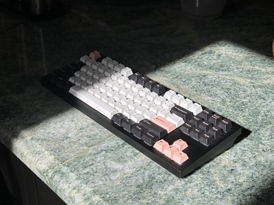 Premium Custom Mechanical Keyboard (Clacky and Poppy!) READ DESC! | eBay