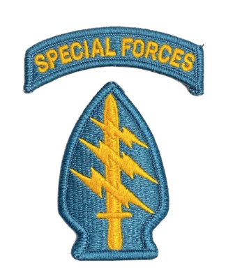 US ARMY 10th Special Forces Sfg Uniform full color patch Aufnäher | eBay.de
