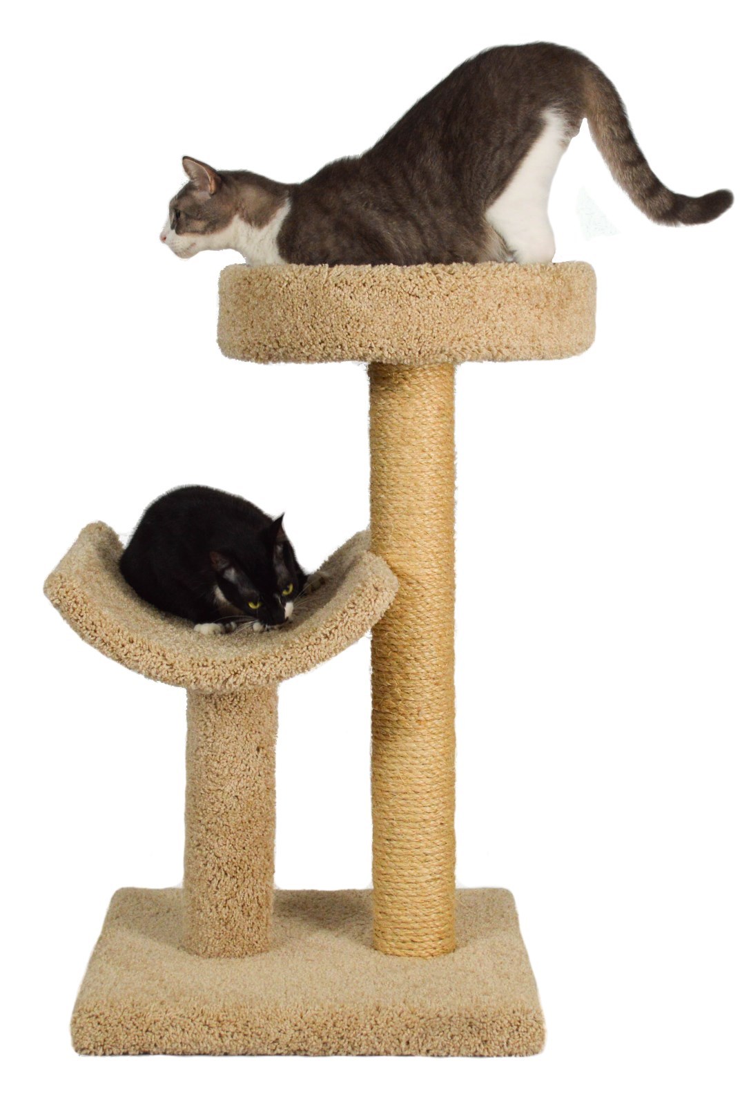 37" TALL SIMPLE SLEEPER - *FREE SHIPPNG IN THE UNITED STATES* | eBay