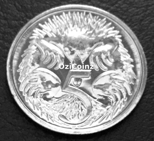 2023 Australian Echidna UNCIRCULATED 5 Cent Coin from RAM Mint Set #504 ...