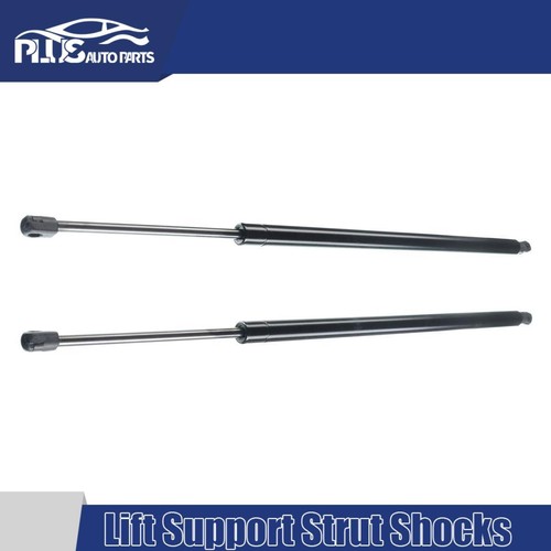 For Dodge Grand Caravan 2008-2015 Rear Trunk Liftgate Lift Supports ...