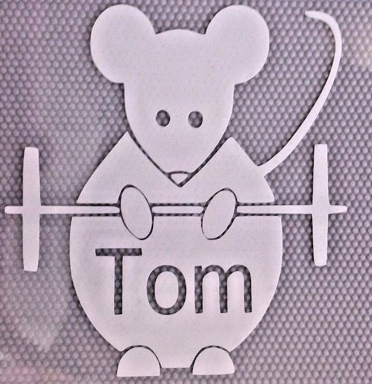 Gym Rat Weight Lifting Excercise Car/Truck Bumper Sticker Gym Window ...