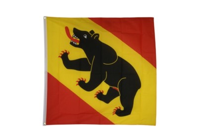 Schweiz Kanton Bern Hissflagge Berner Fahnen Flaggen 150x150cm | eBay
