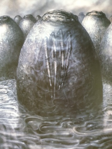 HR Giger Alien Earth - Alien Egg 1978-1991 limited, signed print - very ...