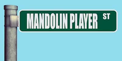 MANDOLIN PLAYER ST STREET SIGN HEAVY DUTY ALUMINUM ROAD SIGN 17" x 4 ...