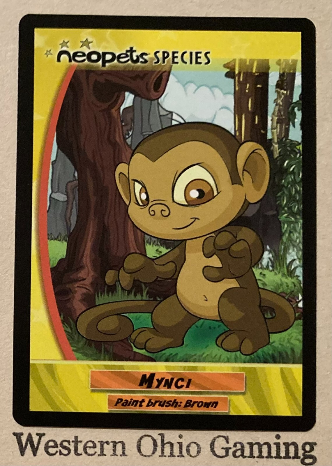 Neopets 2008 Mynci #7 Paint Brush Brown Species Card | eBay