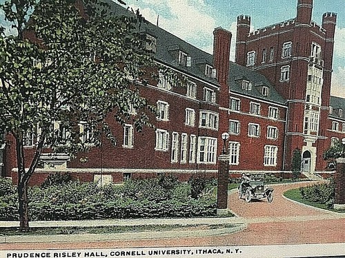 Postcard Early View of Prudence Risley Hall, Cornell University, Ihaca ...