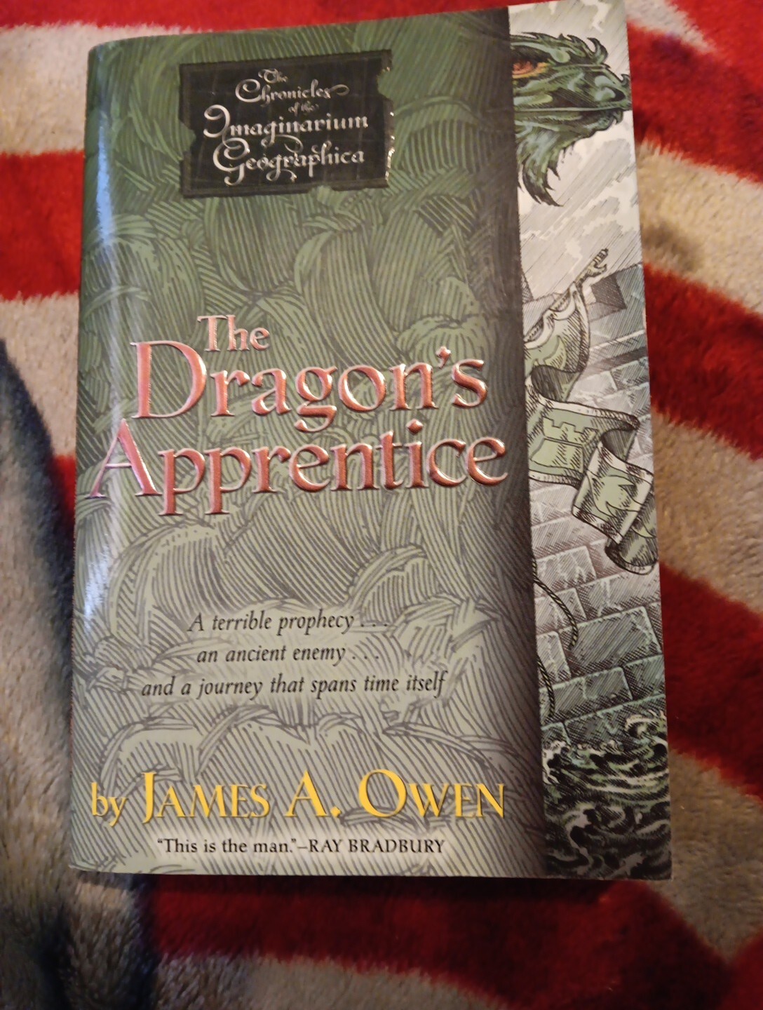 The Chronicles of the Imaginarium Geographica Ser.: The Dragon's Apprentice... 9781416958987| eBay