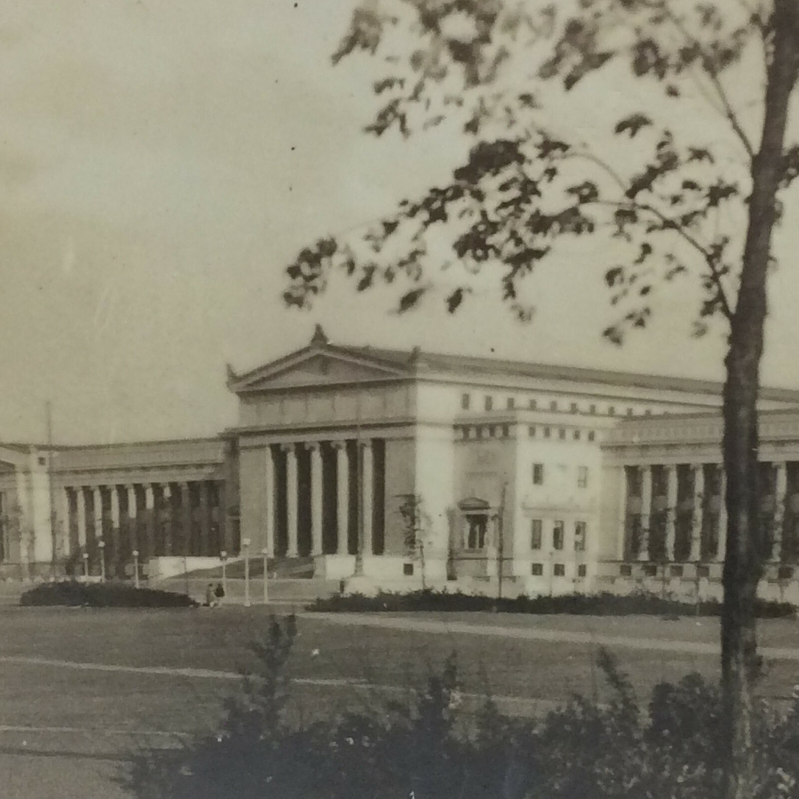 Vintage Real Photo Postcard Chicago Illinois Museum Scene Grogan | eBay