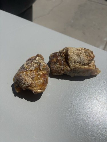 Pinon Resin Natural Fragrance Incense Pine Sap Organic Piñon Pine Pitch ...