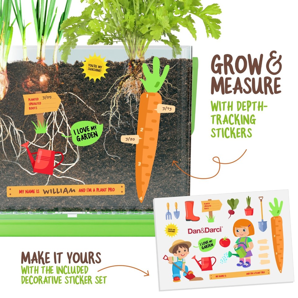 Root Viewer Kit for Kids - Grow Your Own Plant Craft Growing Kits for ...