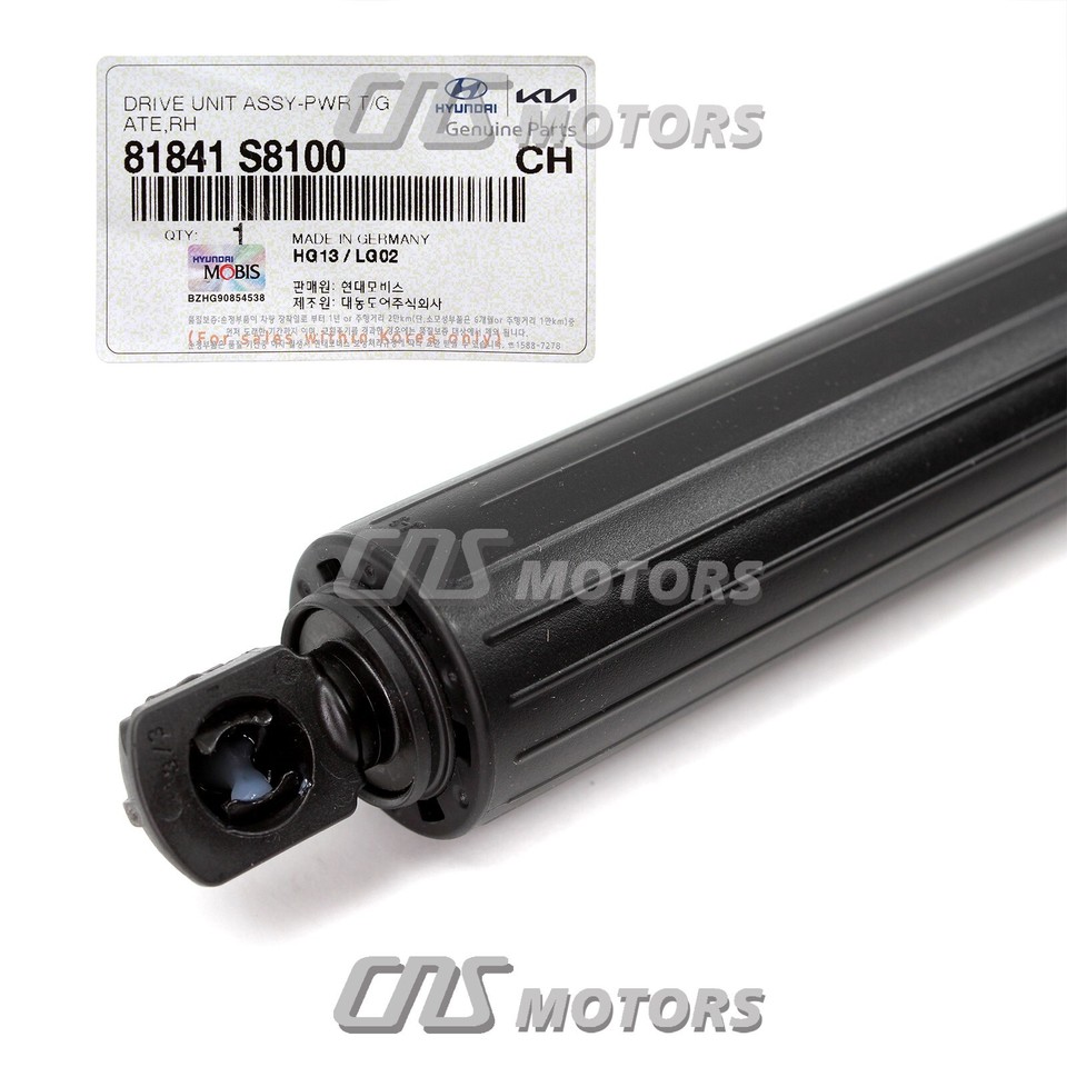 ⭐GENUINE⭐ Power Tailgate Lift RIGHT RH for 2020-2022 Hyundai Palisade ...