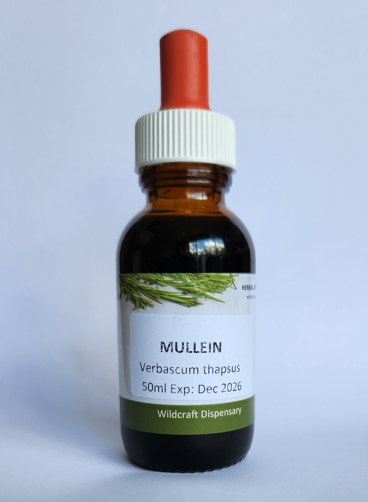 MULLEIN LIQUID EXTRACT TINCTURE 50ml Herbal Concentrate Verbascum ...