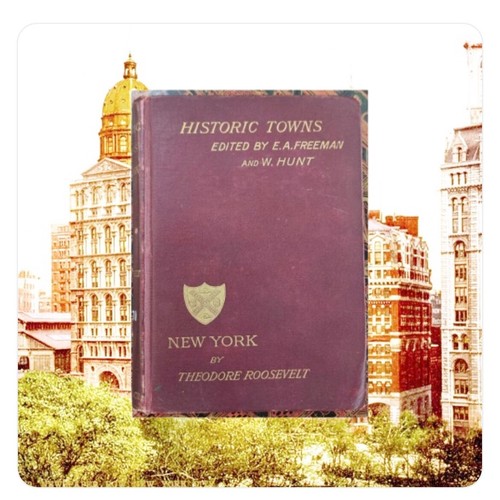 Vintage HC 1916 Book New York Series Historic Towns by Theodore ...