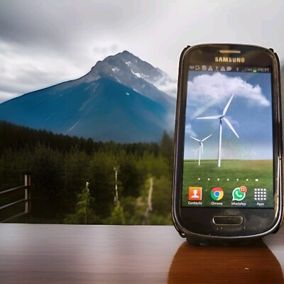 Samsung Mini Galaxy S60 GT-18190N | eBay UK