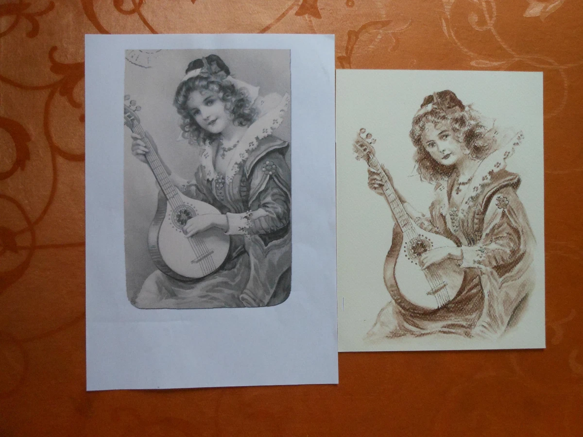 Renaissance Lute Drawing