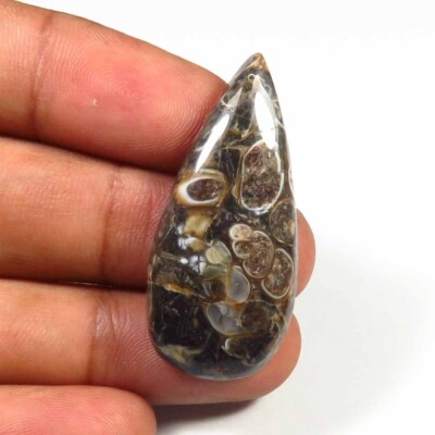 Natural Turtella Cabochon Brown Pear turtella 36x16 mm Handmade ...
