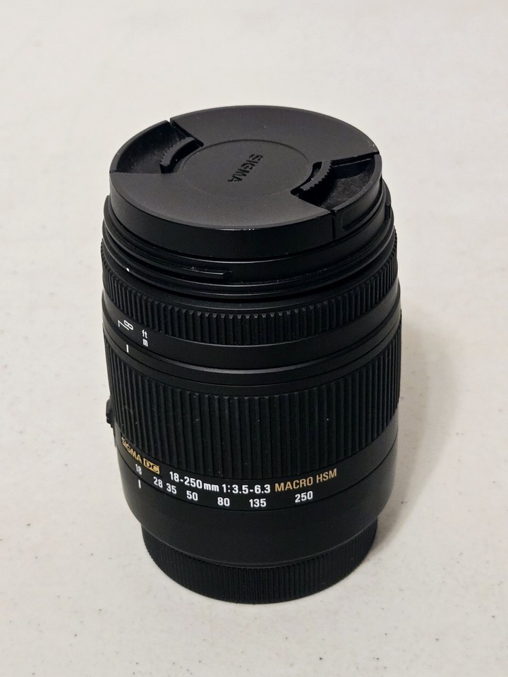 Sigma 18-250mm f3.5-6.3 DC MACRO OS HSM with Optical Stabilizer for ...