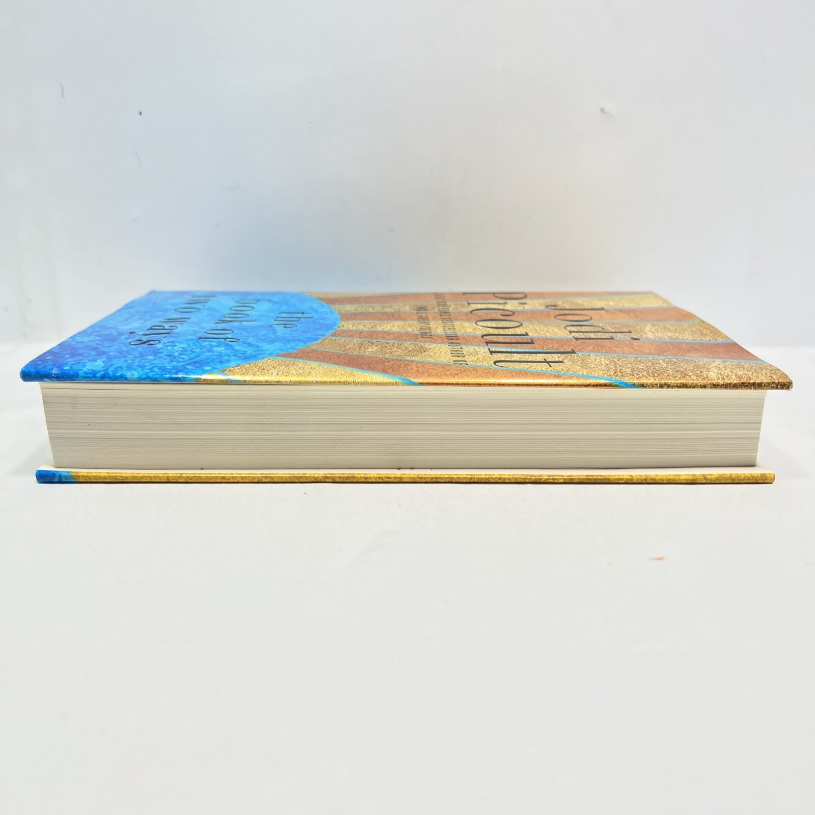 The Book of Two Ways: A Novel by Jodi Picoult (2020, Hardcover) 1st Ed ...