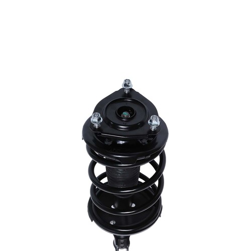 Suspension Strut Assembly for 2000-2002 Toyota RAV4 L4 2.0L FWD Front ...
