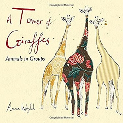A Tower of Giraffes : Animals in Groups Library Binding Anna Wrig ...