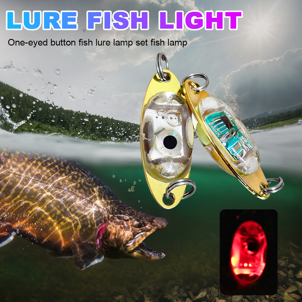 2pcs 5cm 10g LED Fishing Lure Light Eye Shape Underwater Bait Fishing ...