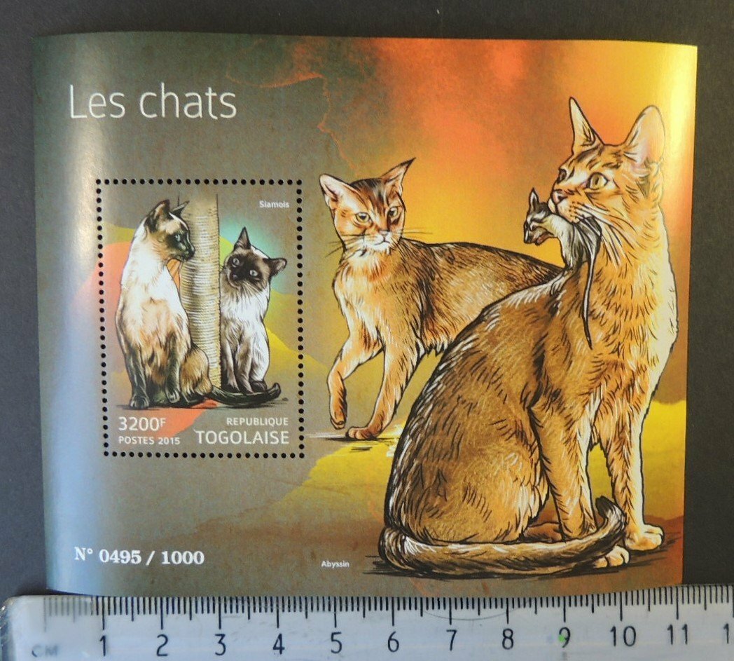 Togo 2015 domestic cats animals siamese abyssinian mice rodents s/sheet ...