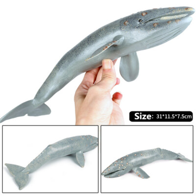 Super Humpback Whale Model Ocean Sea Animal Figure Collector Decor Toy ...