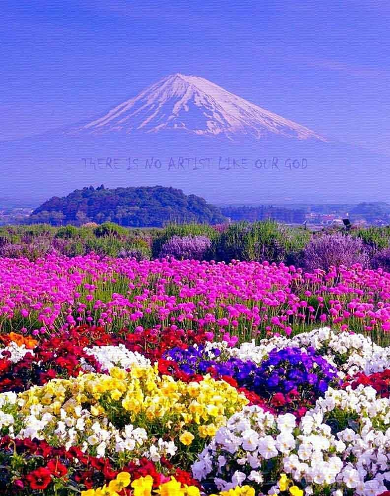 Beautiful Nature