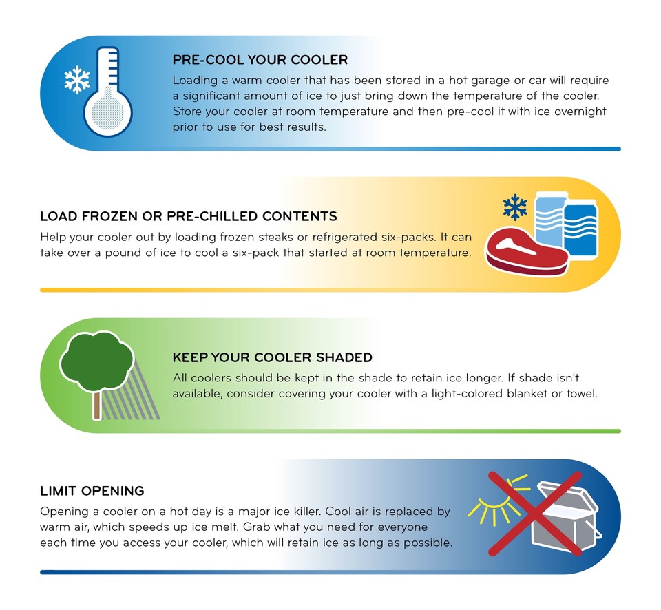 Insulated Cooler Storage Bag Removable Hard Liner Shoulder Strap 6Can ...