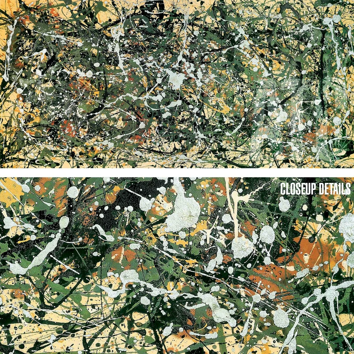 Jackson Pollock Number 8