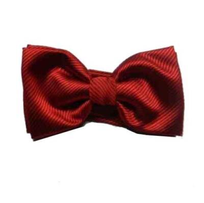 Nœud Papillon De Soie Bordeaux Rigatino Jaquards Fabriqué En Ita | eBay