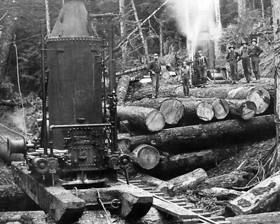 Steam Donkey Engine Yarding Logs Photograph Logging Lumberjack 1909 ...