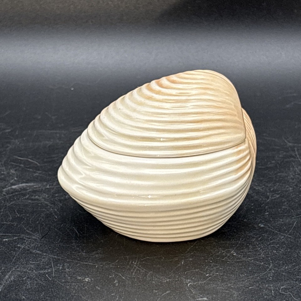 HTF Realistic Clam Sea Shell Figural Trinket Box Hand Painted Beach ...