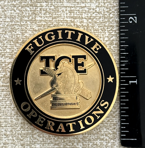 ICE Challenge Coin Fugitive Operations Glynco FLETC | eBay