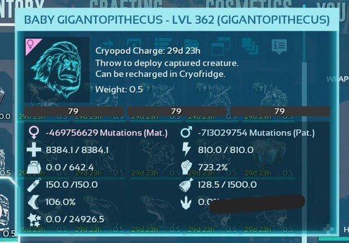 ARK ASA PVE OFFICIAL PAIR BABY GIGANTOPITHECUS BLACK TOP STATUS PC/XBOX ...