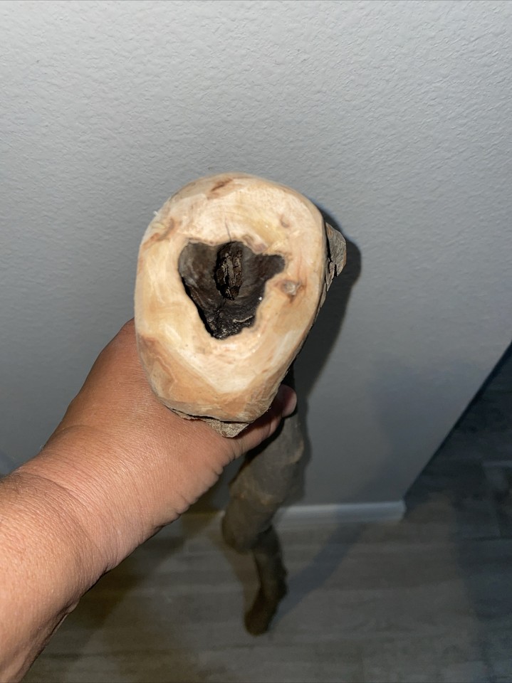 37” Thick Unfinished Natural Shillelagh Irish Celtic Walking Cane Solid ...