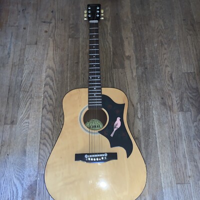 1970's Global Dove acoustic guitar model 204D spruce top beautiful Good ...