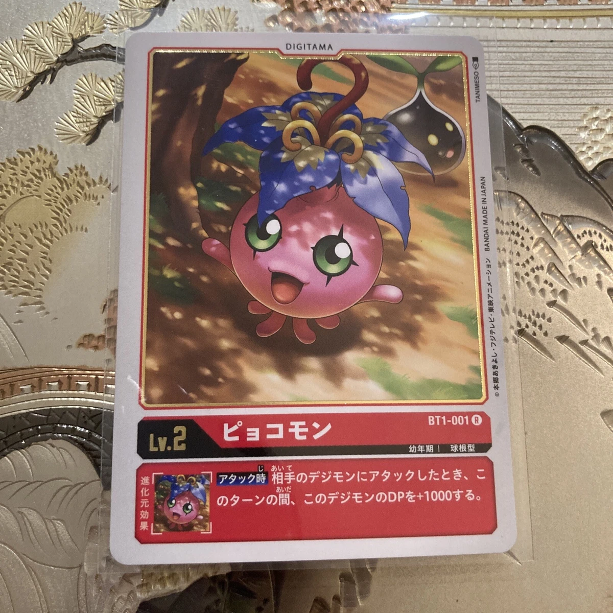 Digimon Yokomon Evolution