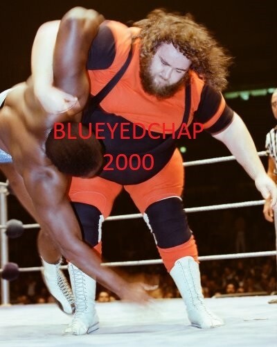 CRUSHER BLACKWELL WRESTLER 8 X 10 WRESTLING PHOTO NWA WWF | eBay