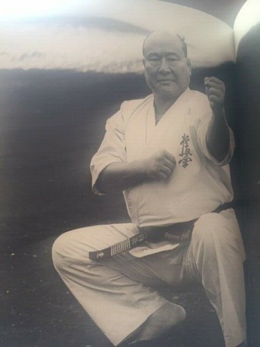 kyokushin karate photo book masutatsu oyama mas oyama karate kyokugen ...