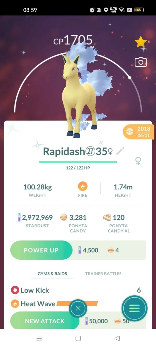 Ponyta Evolution Chart