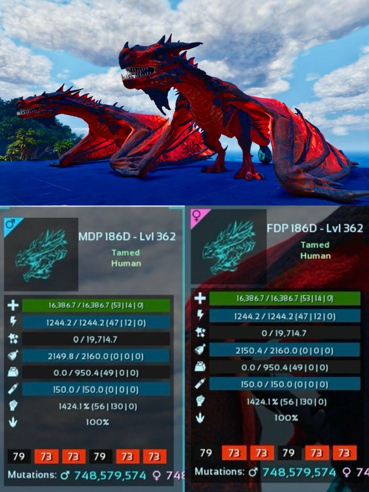 ark survival ascended pve Fire Wyvern Pair, 1424 Melee(186), 100% ...