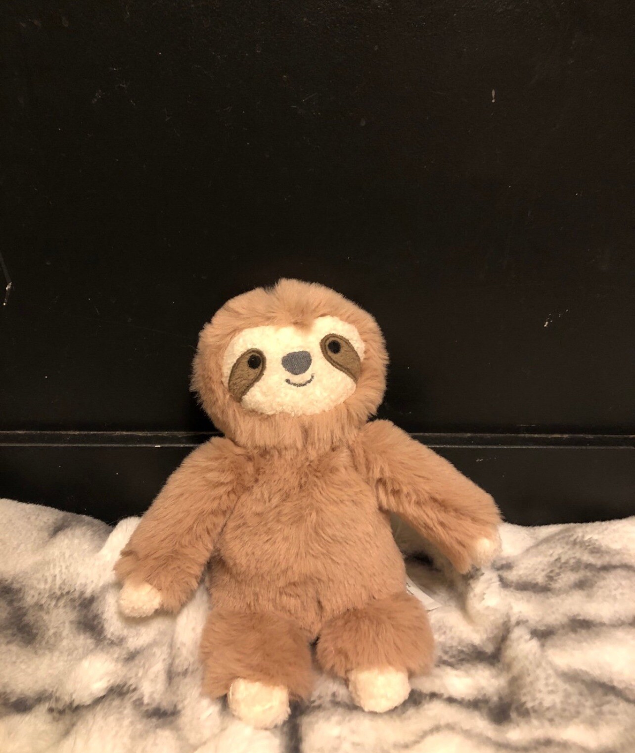 NEW Cloud Island Baby Sloth Rattle Soft Lovey Toy | eBay