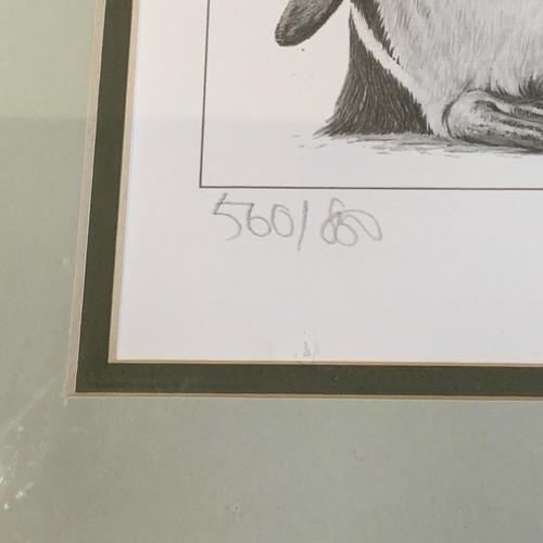 Gary Hodges Limited Edition Signed Print ‘Jackass Penguins Preening ...