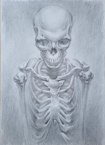 Human skeleton, original anatomy drawing, graphite pencil on paper ...